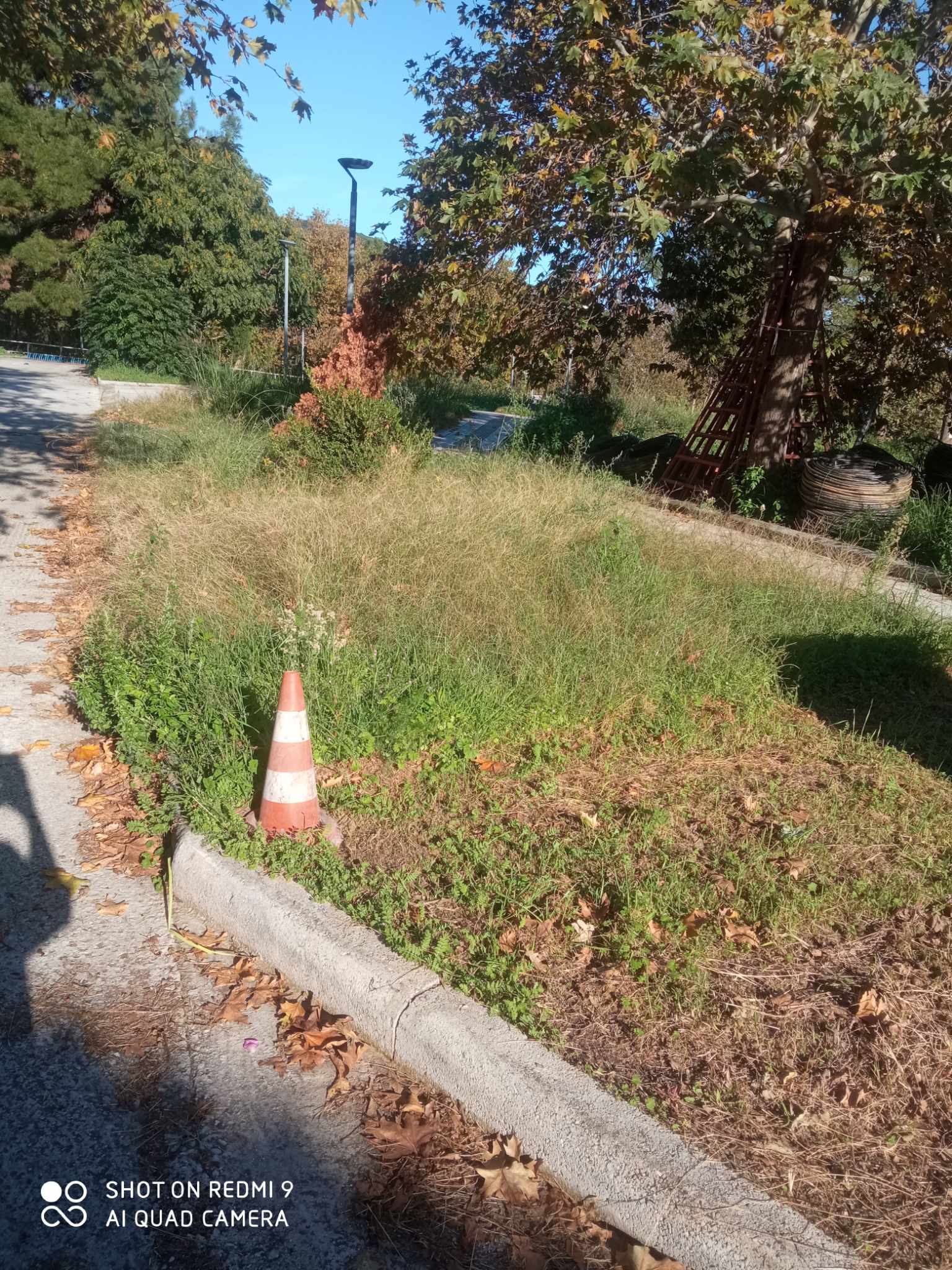 Τα μαύρα του τα χάλια έχει πάρκο σε κεντρικό σημείο της Αγιάς ...