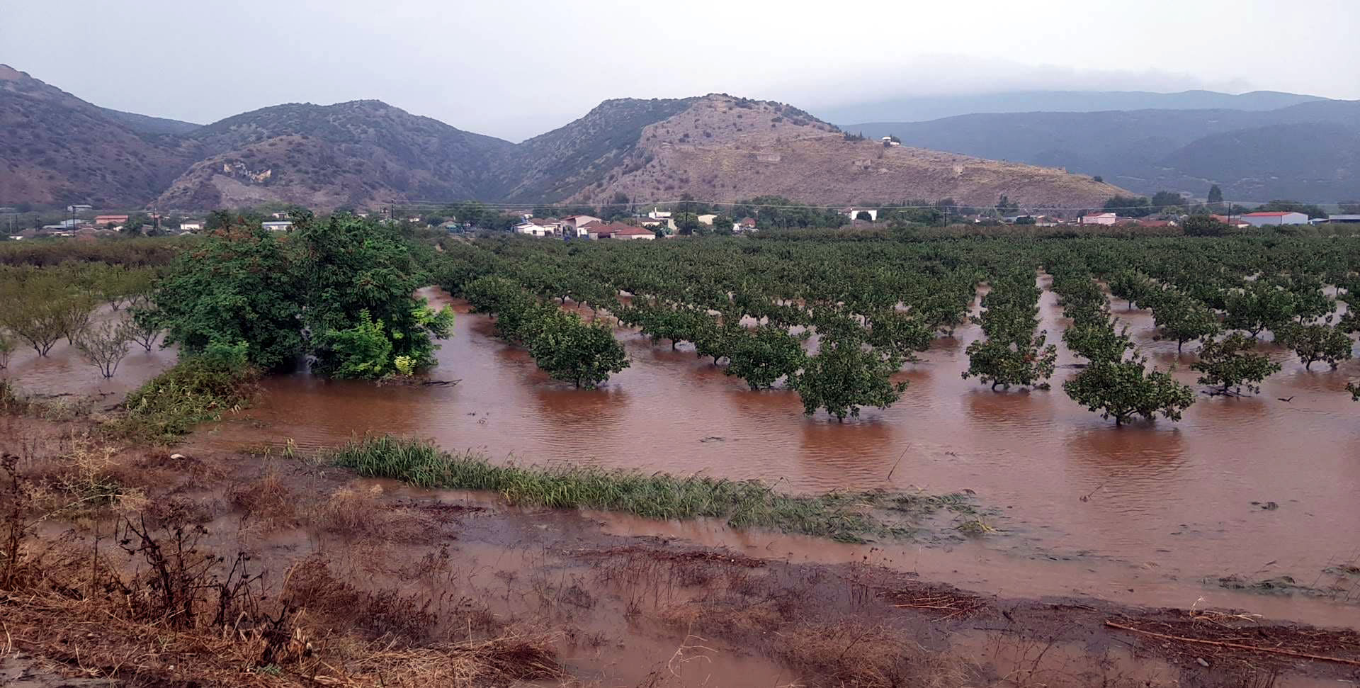 Κάλεσμα σε πανελλαδική αγροτική σύσκεψη στην Αγιά - Χώρα Αγιά