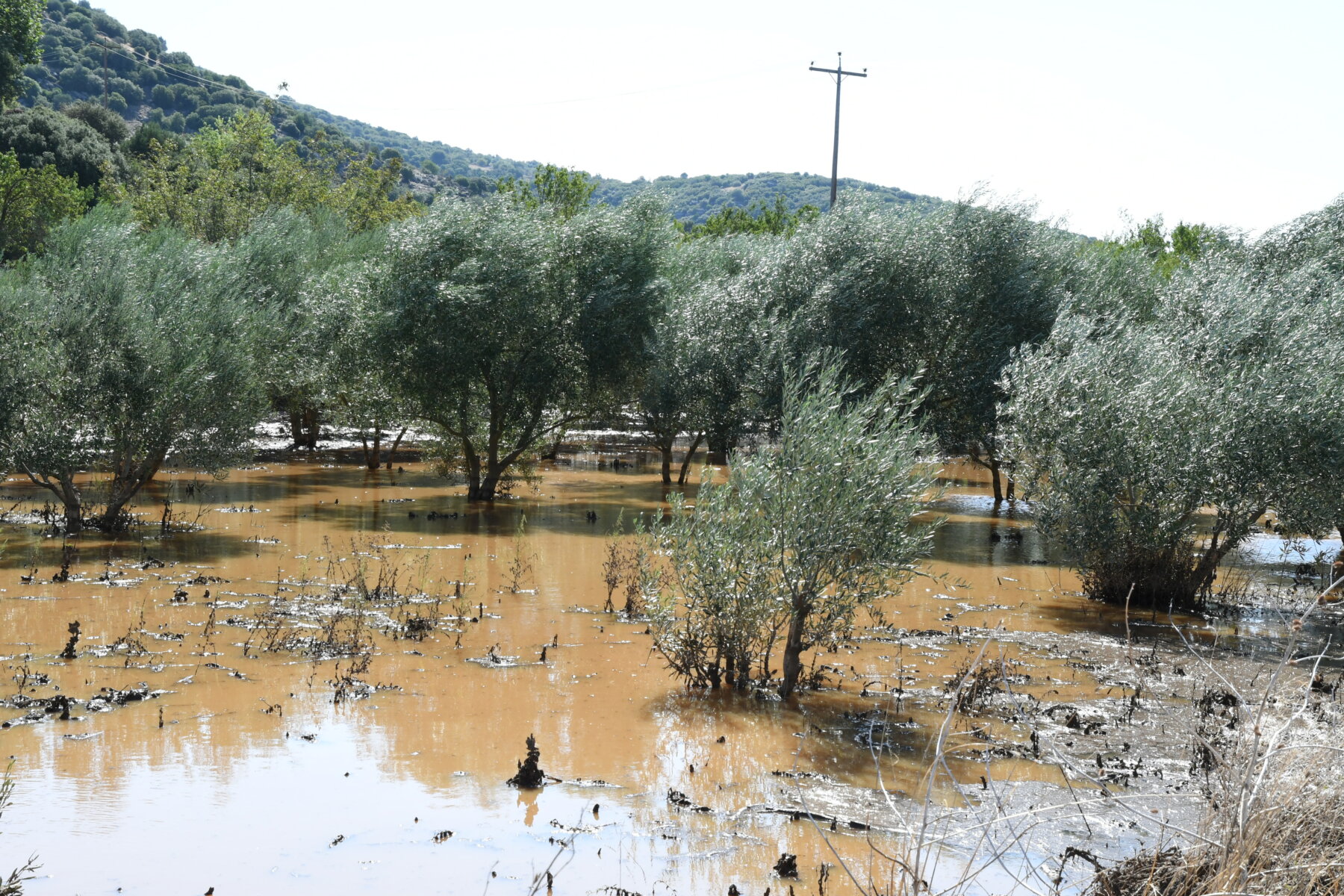 Κάλεσμα Μπλόκου Πλατυκάμπου / Σύσκεψη και συμπαράσταση από τους φορείς ...