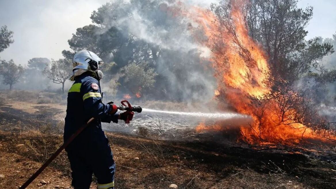 Φωτιά στο Μαυροβούνι, στην περιοχή της Ελάφου / Επιχειρούν μεγάλες ...